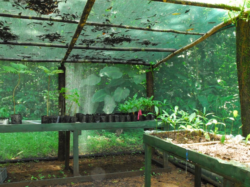 Unique Rainforest Tours in Costa Rica | Playa Nicuesa Lodge